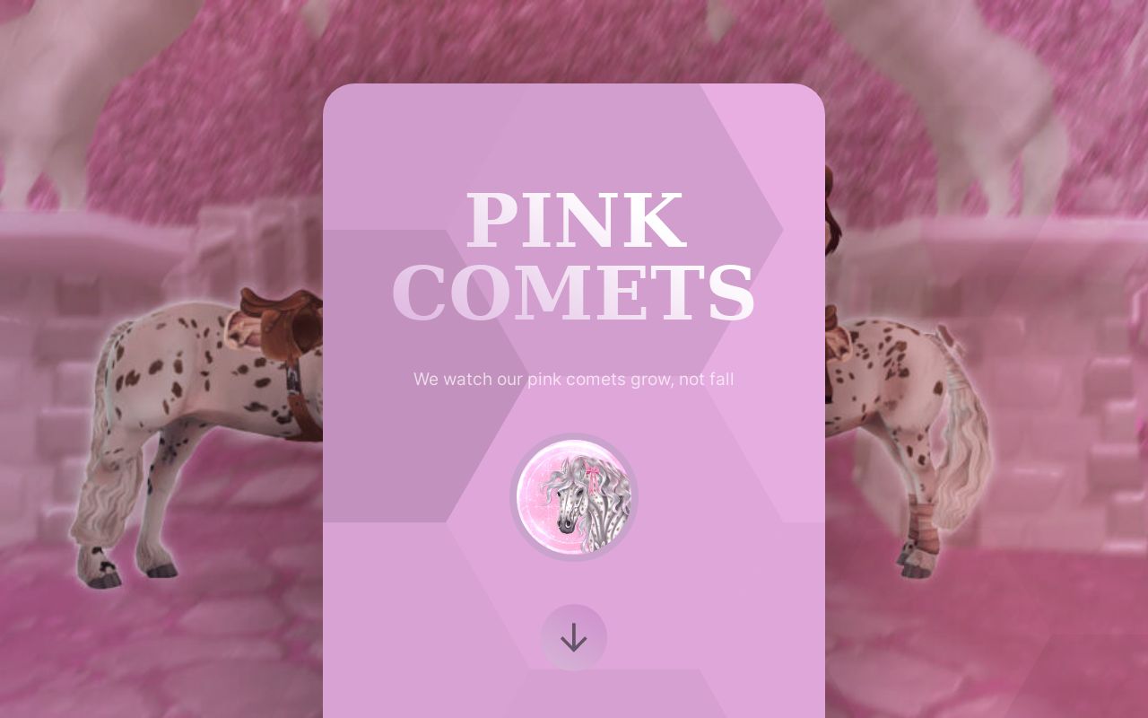 𝐏 𝐈 𝐍 𝐊 𝐂 𝐎 𝐌 𝐄 𝐓 𝐒 🌸